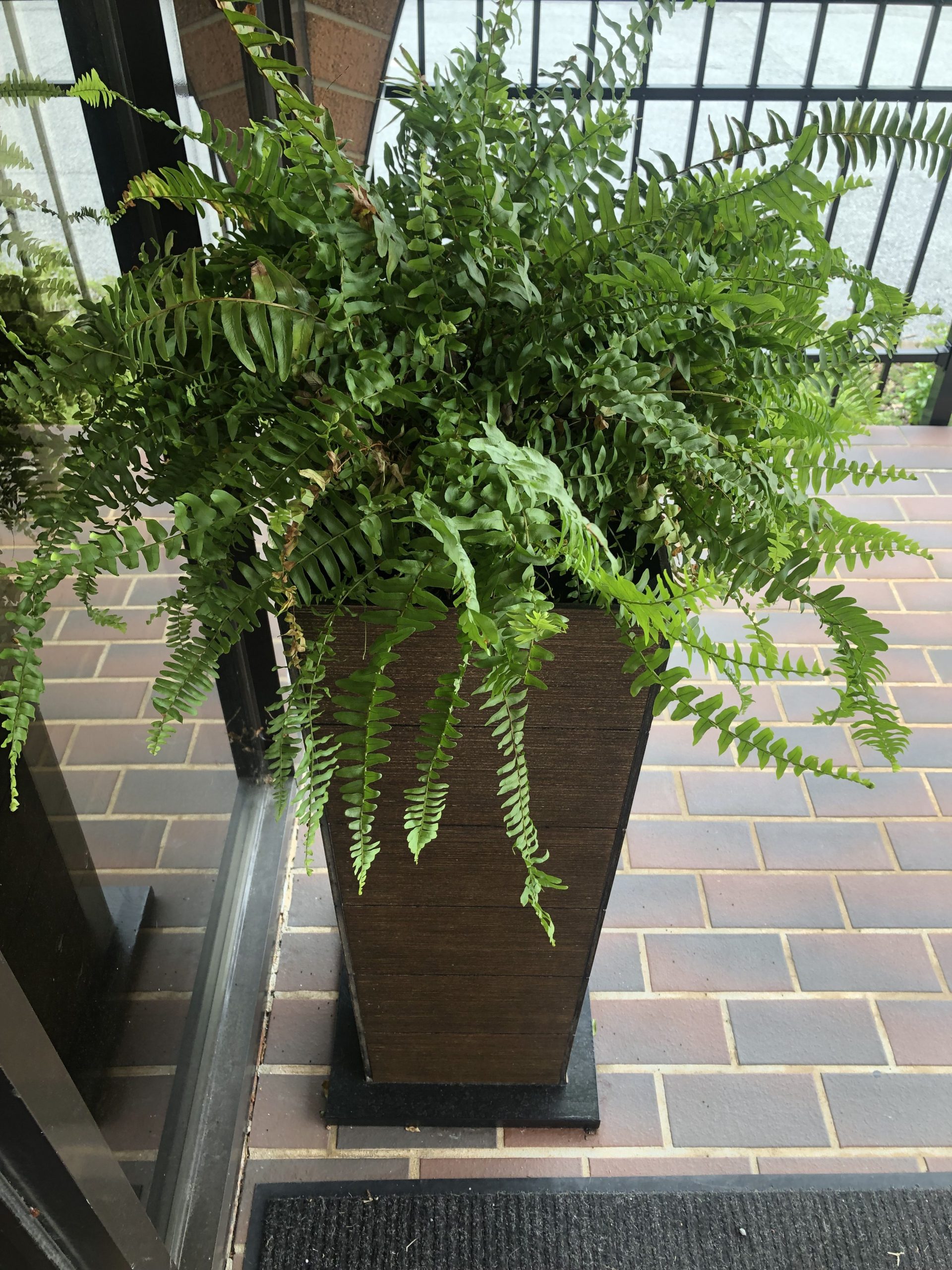 IronPly® Soffit Plant Stand – Part IV :: Patriot Timber